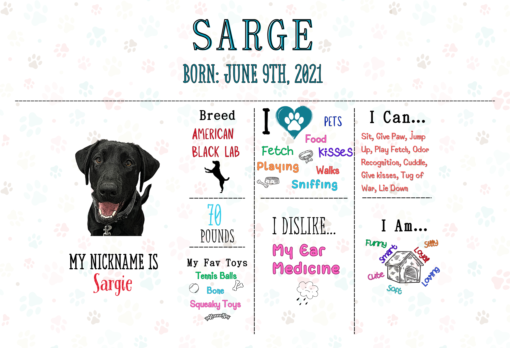 Community Resource Dogs - Northeastern University's Police Department